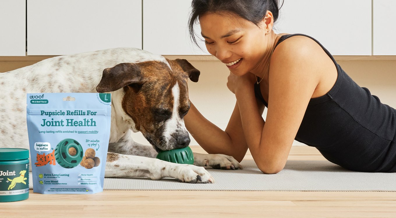 WOOF Pupsicle Pops Refills Beef & Peanut Butter Grain-Free Lickable Dog ...