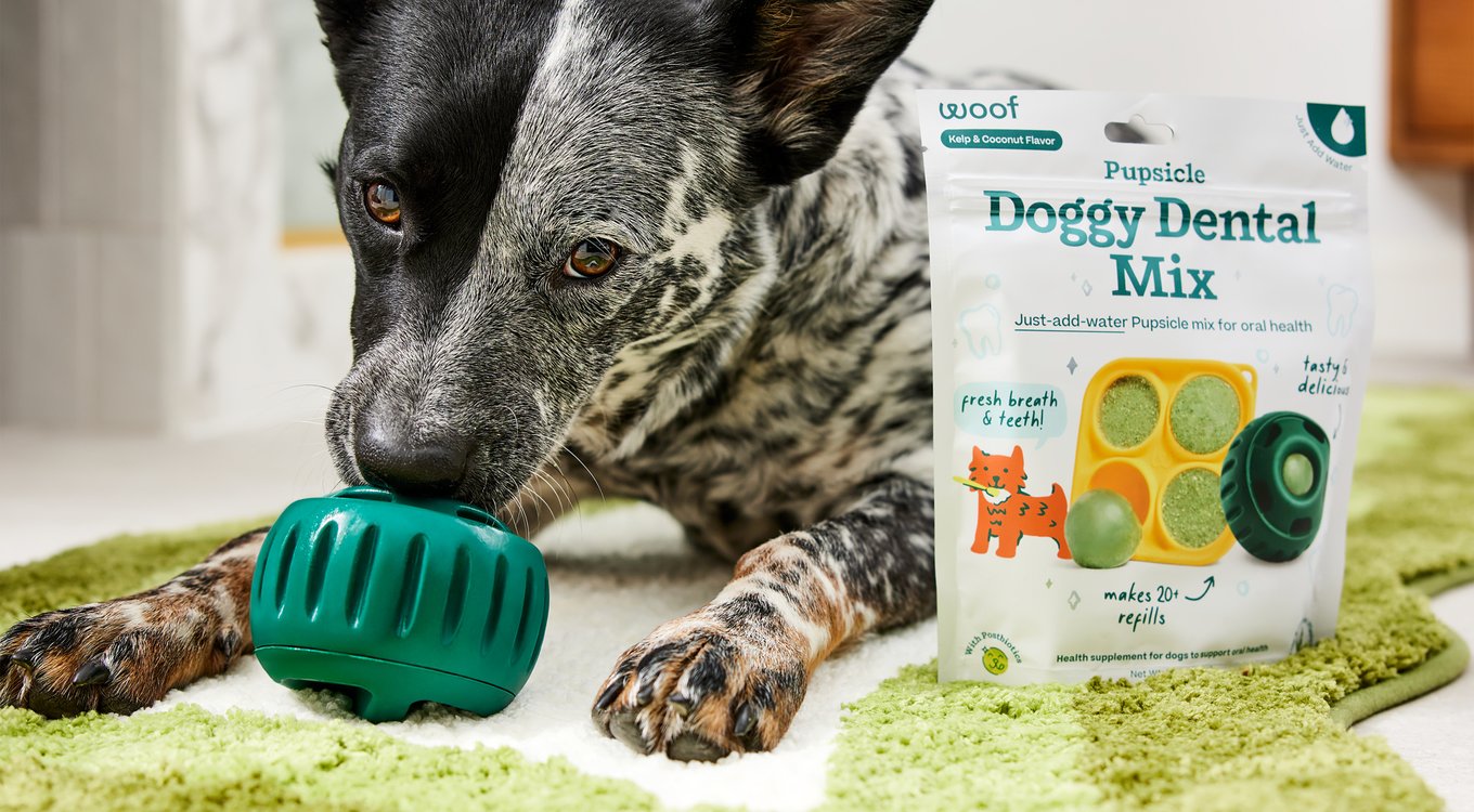 WOOF Pupsicle Mix Bacon & Cheese Lickable Dog Treats, 5.5-oz bag ...