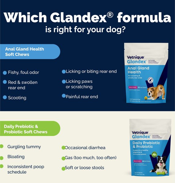 VETNIQUE LABS Glandex Daily Probiotics & Digestive Health Prebiotics ...