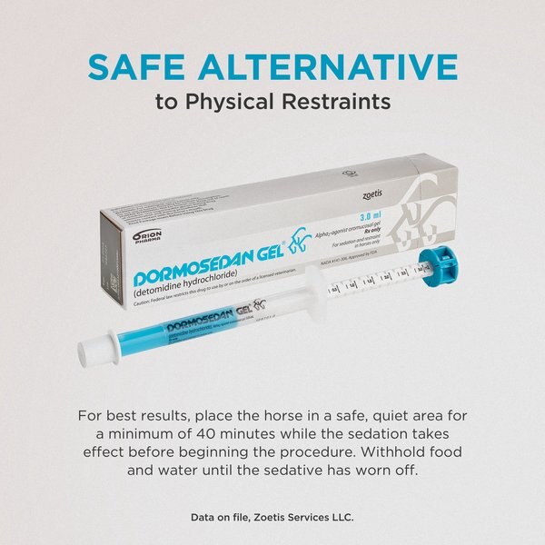 DORMOSEDAN Gel for Horses, 7.6 mg/mL, 3-mL oral syringe - Easy Refills ...