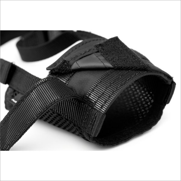 PETSAFE Dog Muzzle, Black, Small - Chewy.com