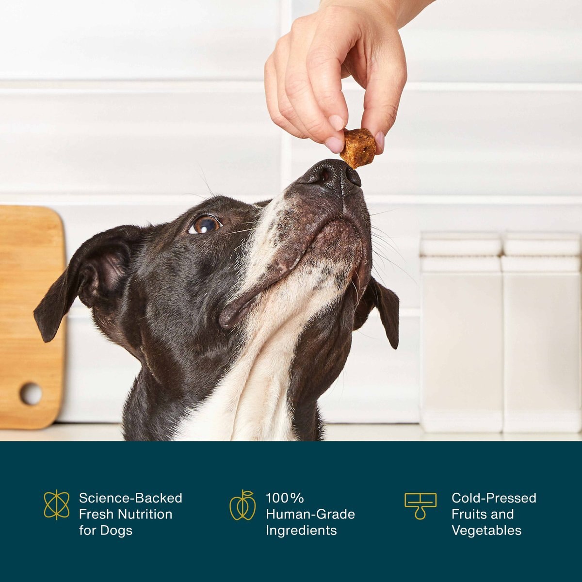 JUSTFOODFORDOGS Probiotic Booster Gut, Digestive Health Support ...