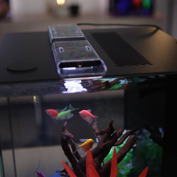 HELLOREEF Glofish Aquarium Kit, 15-gal - Chewy.com