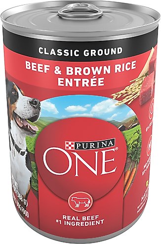 Purina ONE Dog Food - Free Shipping | Chewy