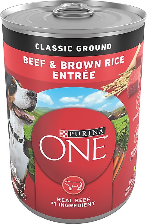 Purina ONE Dog Food - Free Shipping | Chewy