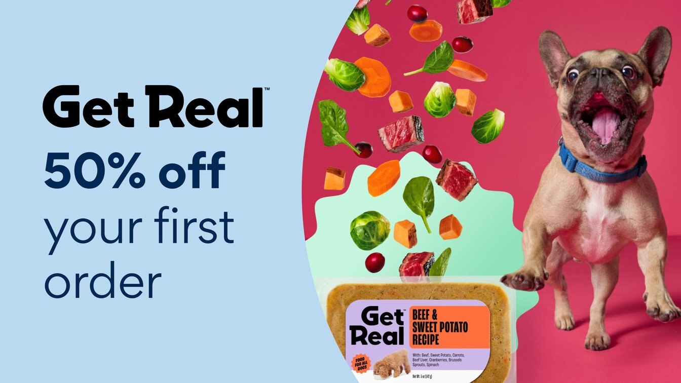 Today's Deals: Chewy Promo Codes, Discounts & Coupons | Chewy