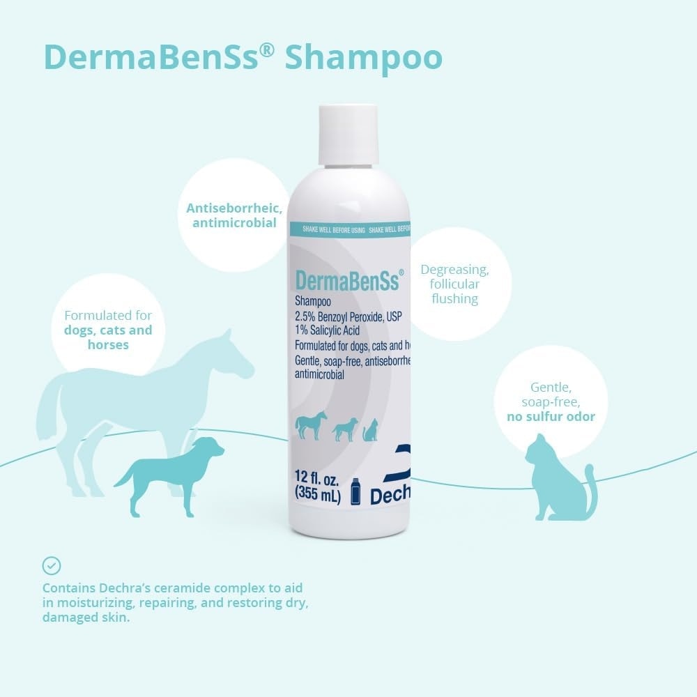 DERMABENSS Shampoo for Dogs, Cats & Horses, 12-fl oz bottle - Chewy.com