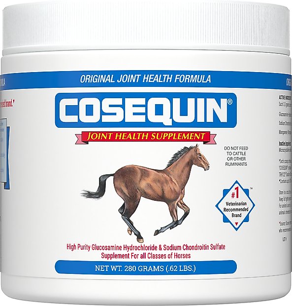 Horse Connective Tissue Supplements | Chewy