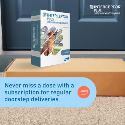 INTERCEPTOR PLUS Chew for Dogs, 50.1-100 lbs, (Blue Box) - Easy Refills | Chewy Rx