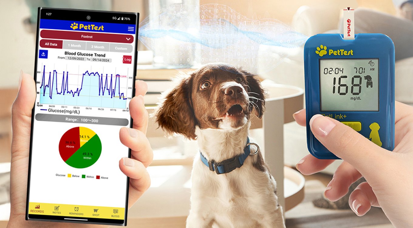 PETTEST Blood Glucose Monitoring System for Dogs & Cats - Chewy.com
