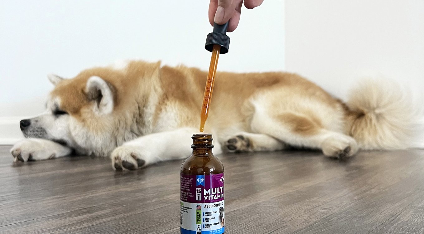 BELOVED PETS Probiotics & Prebiotics with Enzymes Liquid Supplement for ...