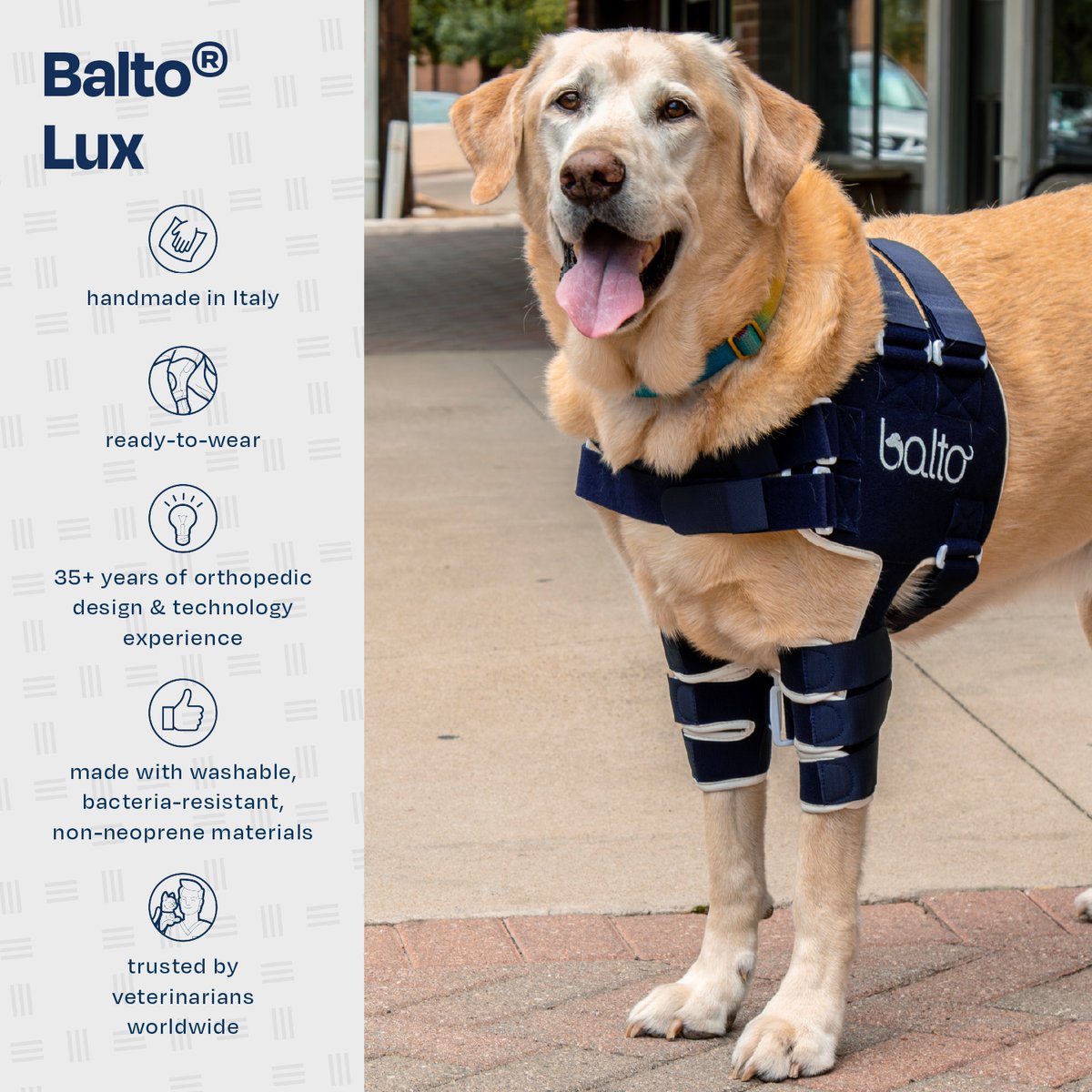 BALTO Lux Dog Shoulder Brace, Large - Chewy.com