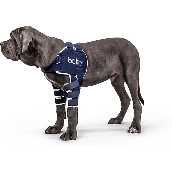 BALTO Lux Dog Shoulder Brace, Large - Chewy.com