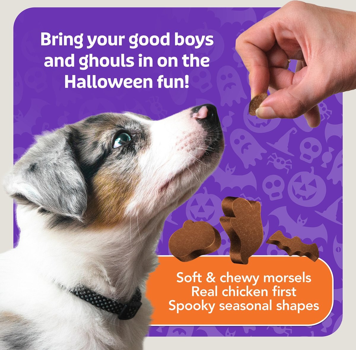 BLUE BUFFALO Boo Bits Tasty Chicken Recipe Soft & Chewy Halloween Dog ...