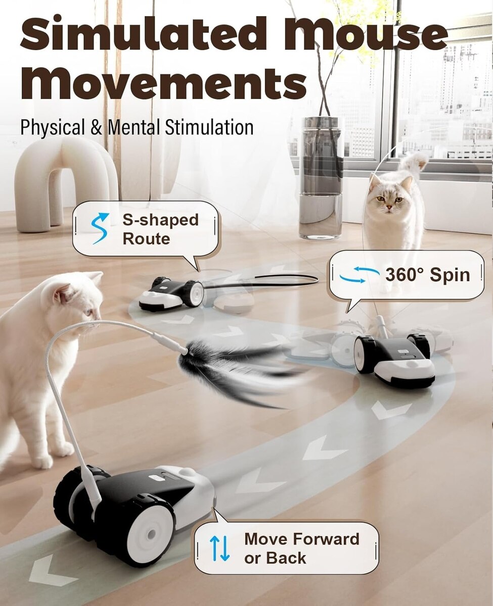 CASFUY 2-Speed Erratic Mouse Motion 3-in-1 Interactive Cat Toy with ...