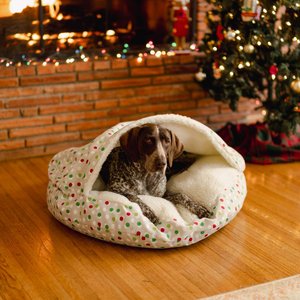 SNOOZER PET PRODUCTS Round Indoor Outdoor Cozy Cave Dog Bed, Blue ...