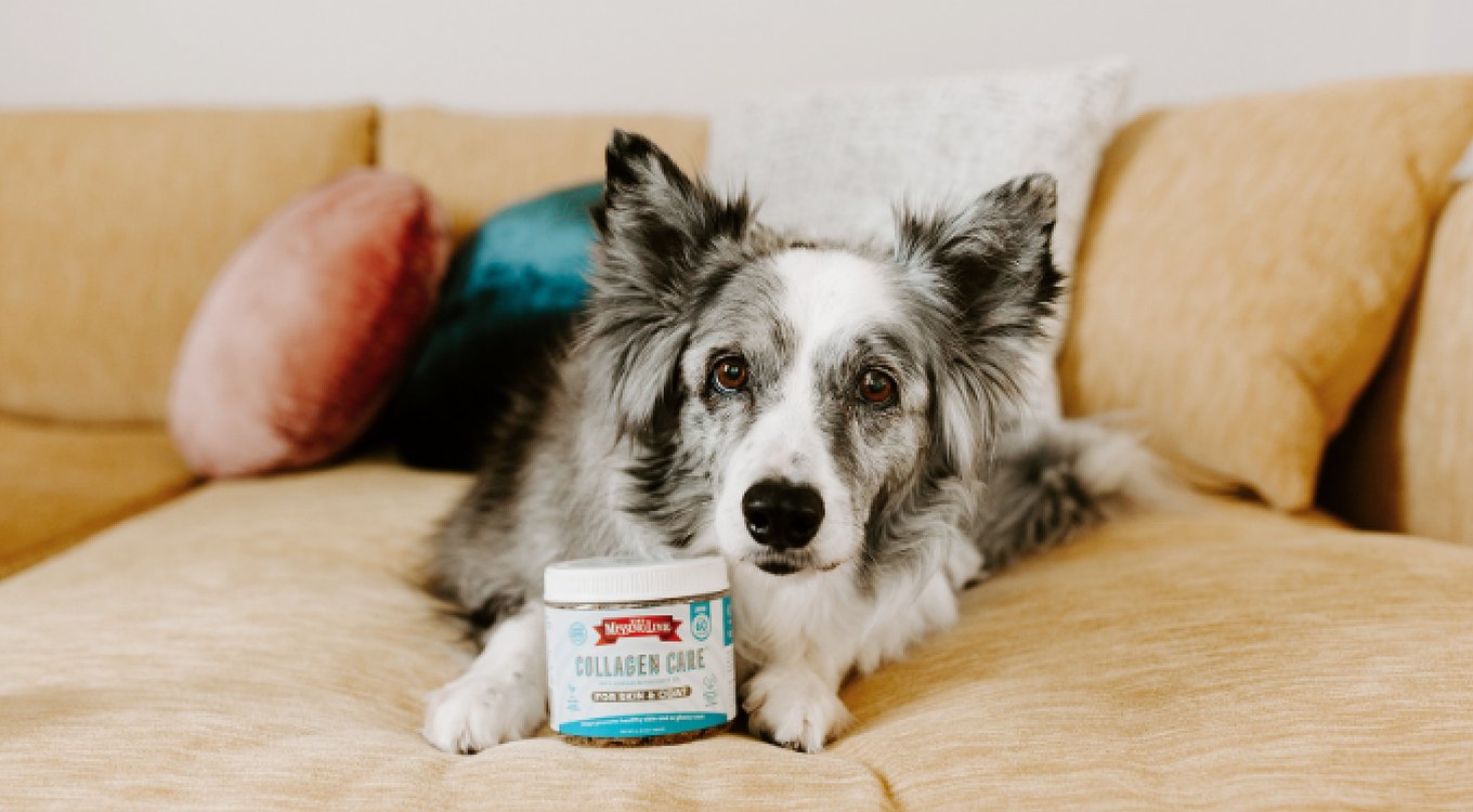 THE MISSING LINK Professional Strength Veterinary Formula Canine Blend ...
