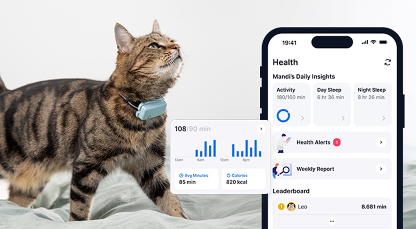 TRACTIVE Smart Cat GPS Tracker with Wellness Monitoring & Breakaway ...