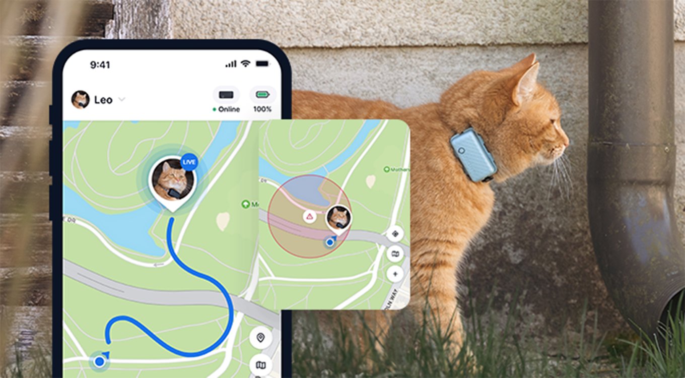 TRACTIVE Smart Cat GPS Tracker with Wellness Monitoring & Breakaway ...