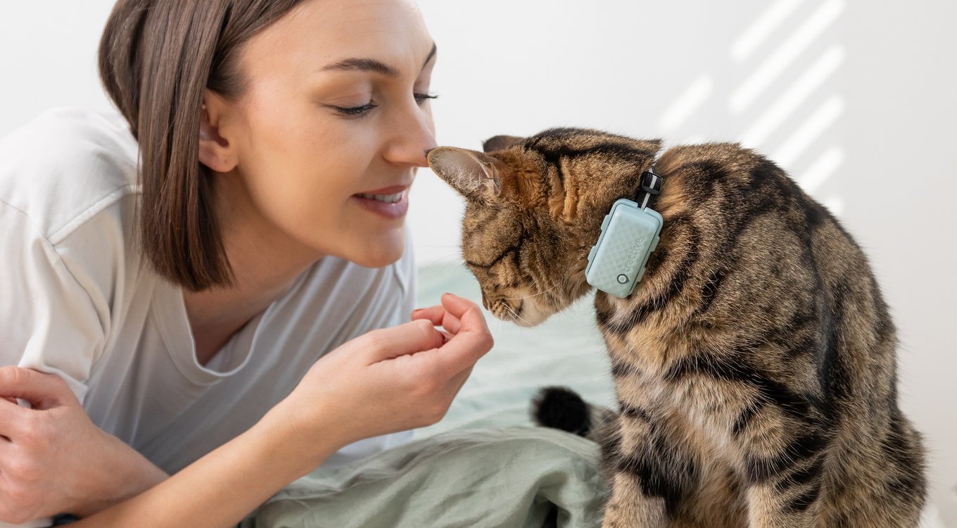 TRACTIVE Smart Cat GPS Tracker with Wellness Monitoring & Breakaway ...