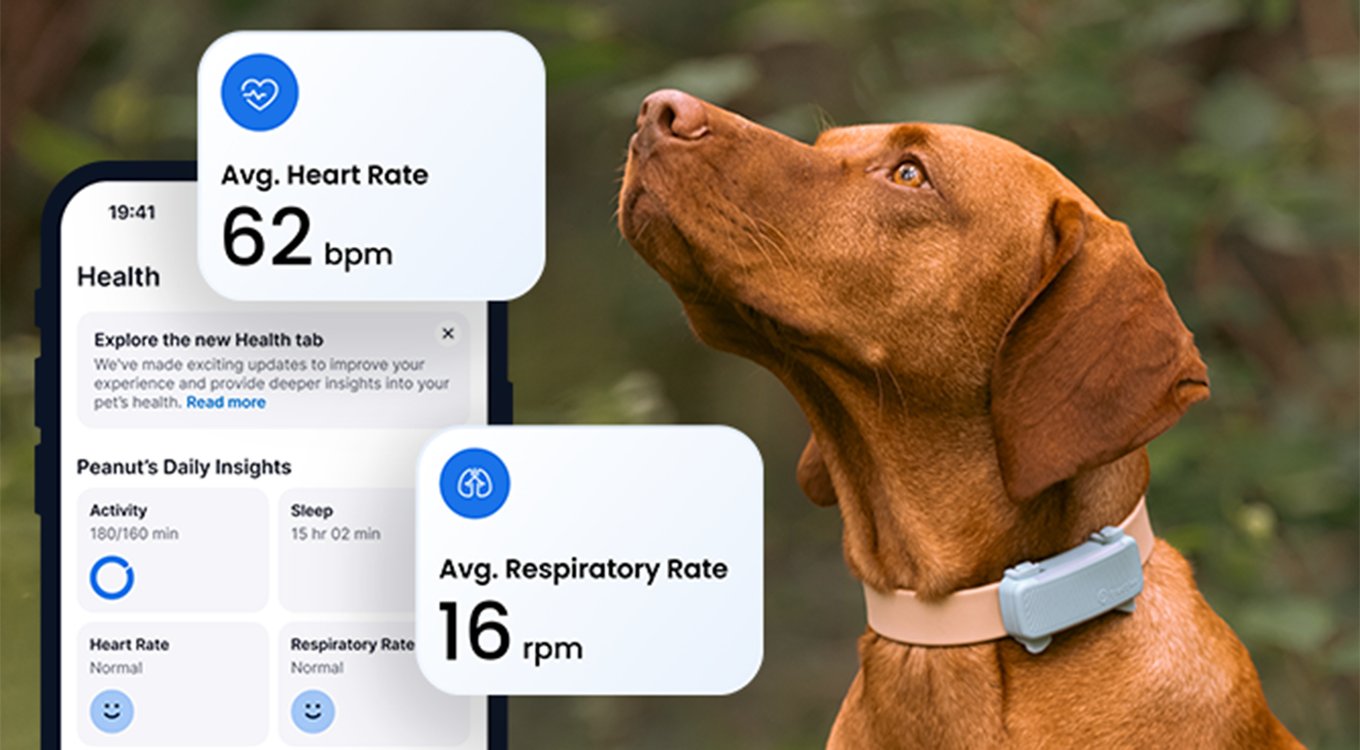 TRACTIVE Smart Dog GPS Tracker with Vital Signs Monitoring, Dog Collar Attachment, Brown - Chewy.com