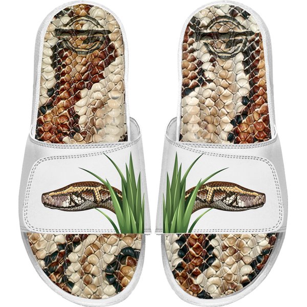 ISLIDE Snake in the Grass Snake Gel Slides, M9 / W10 - Chewy.com