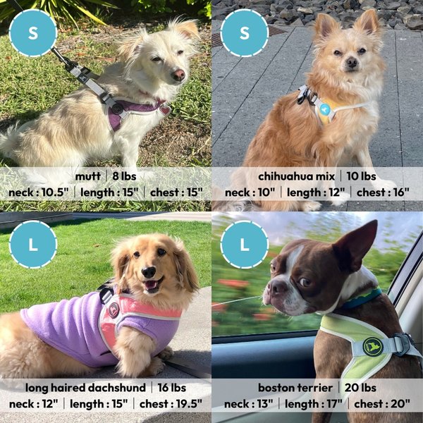 GOOBY Simple Step In III Dog Harness, Purple, Medium: 16.75 to 21.5-in ...