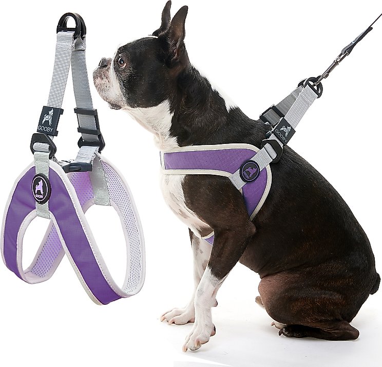 SMALL BREED DOG HARNESSES (Free Shipping) | Chewy