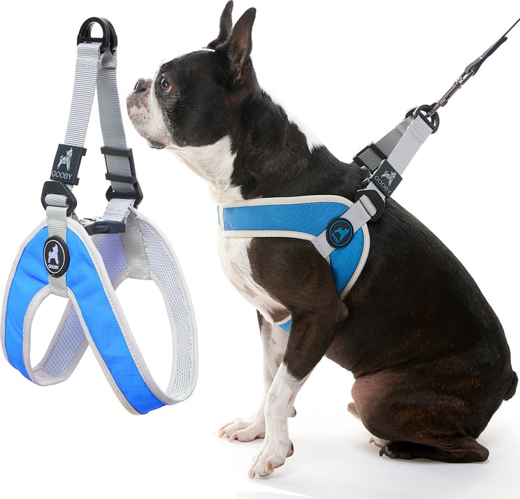 STEP IN DOG HARNESSES (Free Shipping) | Chewy