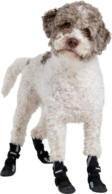 Dog Boots: Rain, Snow, Indoor & More (Free Shipping) | Chewy