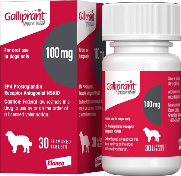 GALLIPRANT (grapiprant) Tablets for Dogs, 100-mg - Easy Refills | Chewy Rx