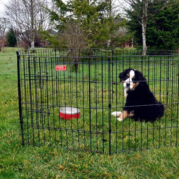 Out of Stock - LUCKY DOG Wire Dog Exercise Pen with Step-Thru Door ...
