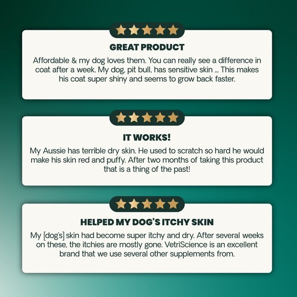 VETRISCIENCE Derma Strength Soft Chews Skin & Coat Supplement for Dogs ...