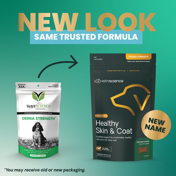 VETRISCIENCE Derma Strength Soft Chews Skin & Coat Supplement for Dogs ...