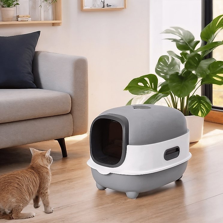 Covered Cat Litter Boxes: Enclosed Kitty Litter Boxes (Free Shipping ...