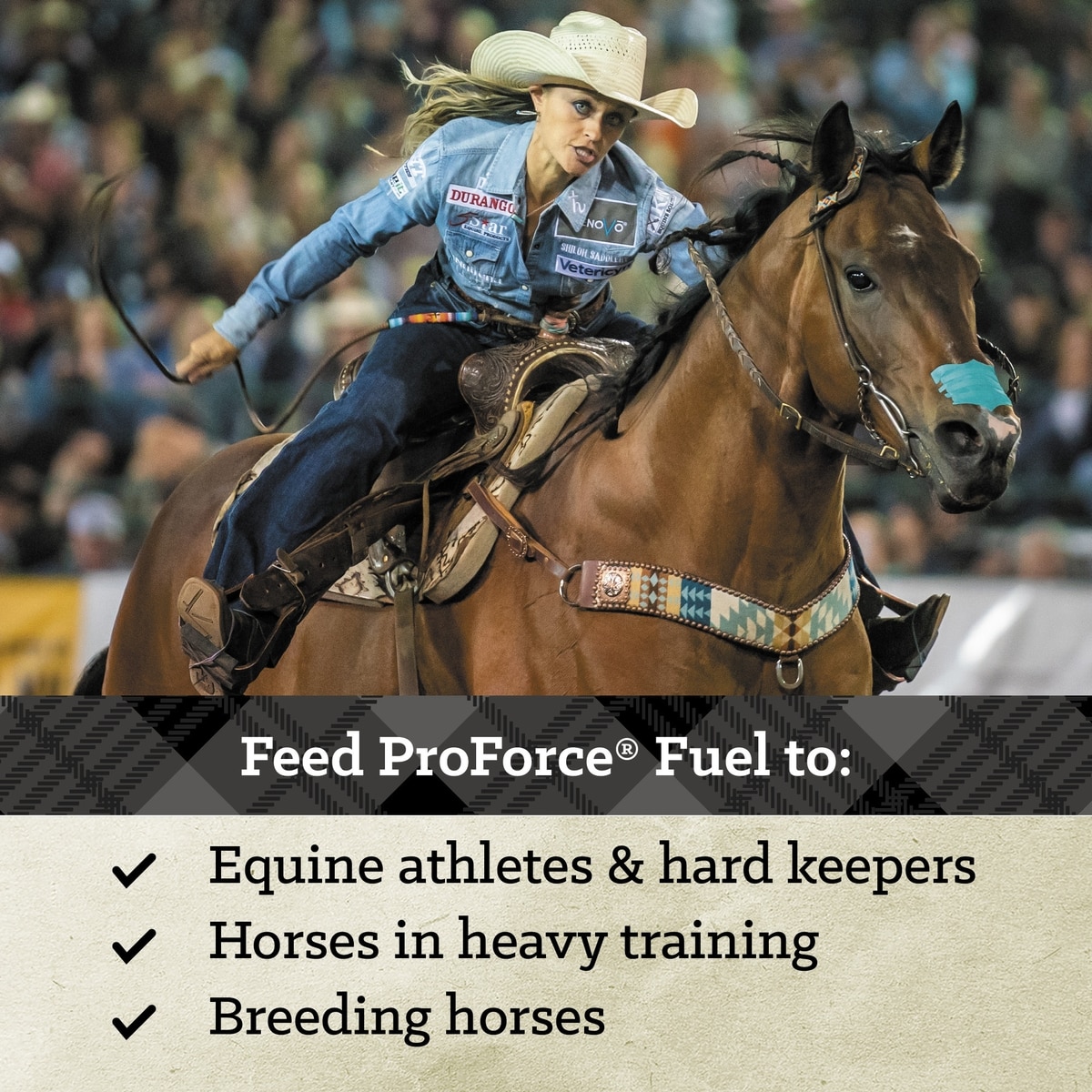 NUTRENA ProForce Fuel Horse Feed, 50-lb bag - Chewy.com