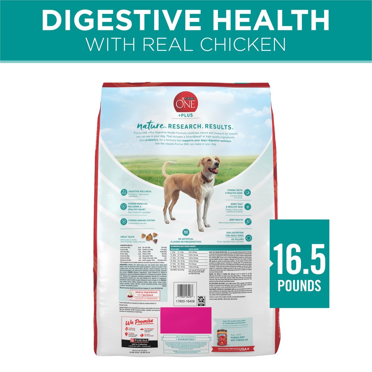 PURINA ONE +Plus Adult Digestive Health Formula Dry Dog Food, 16.5-lb ...