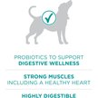 PURINA ONE +Plus Adult Digestive Health Formula Dry Dog Food, 16.5-lb ...