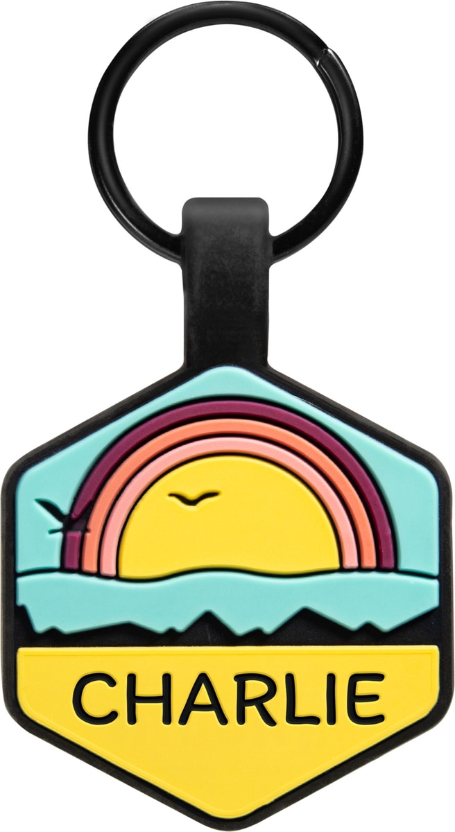 GOTAGS Silent Silicone Personalized Dog ID Tag, Beach Blue - Chewy.com