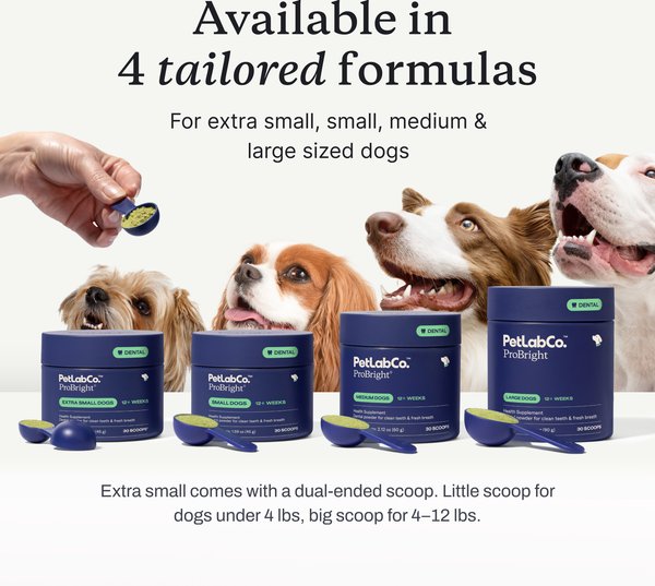 PETLAB CO. ProBright Dog Dental Powder for X-Small Dogs - Chewy.com