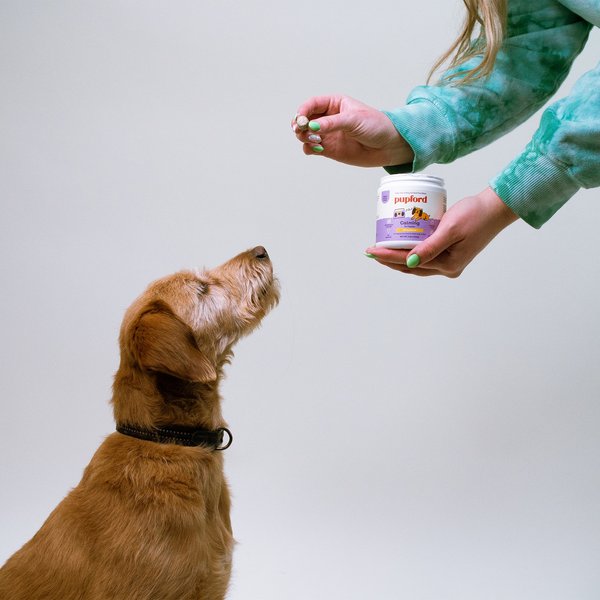 PUPFORD Calming String Cheese Flavored Soft Chew Calming Supplement for ...