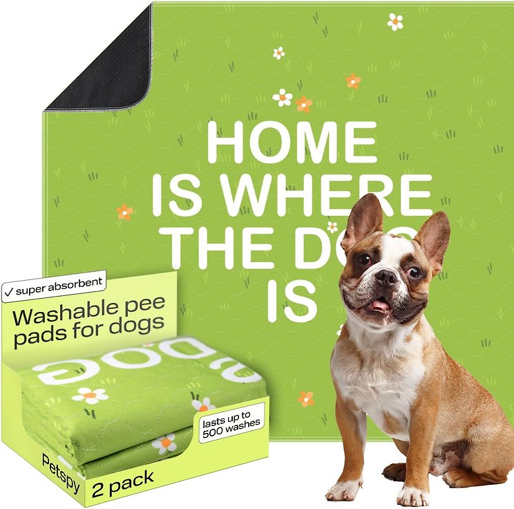 WASHABLE DOG POTTY PADS (Free Shipping) | Chewy