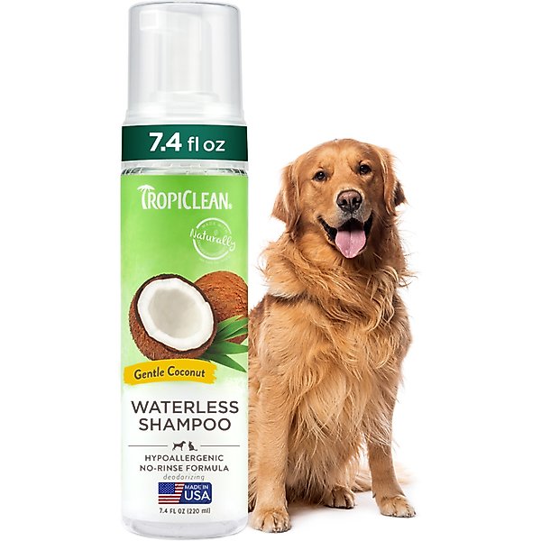 10 Best Dog Dry Shampoos 2026: According to Reviews | Chewy
