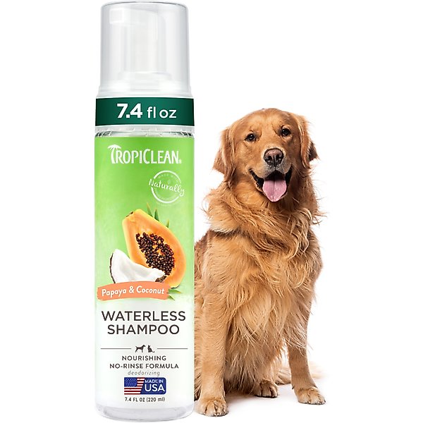 Best Dry Shampoos for Cats 2026: According to Reviews | Chewy