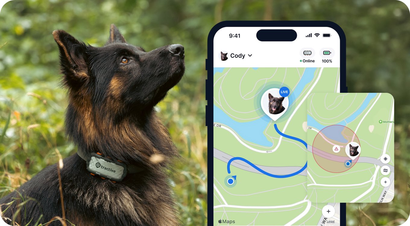 TRACTIVE Smart Dog GPS Tracker with Vital Signs Monitoring, Dog Collar ...