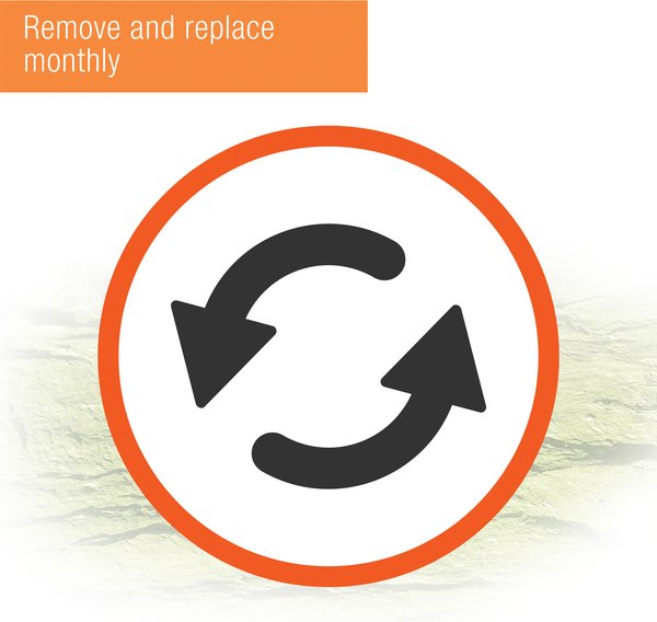 ZILLA Ground English Walnut Shell Reptile Bedding, 5-qt bag - Chewy.com