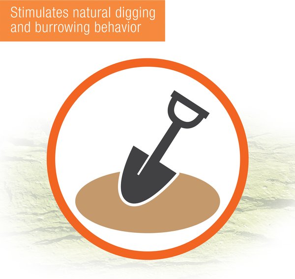 ZILLA Ground English Walnut Shell Reptile Bedding, 5-qt bag - Chewy.com