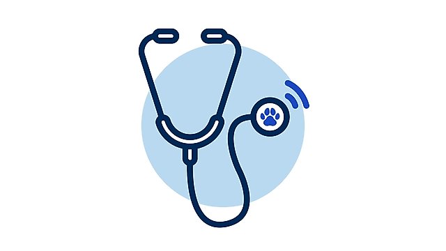 Medicine Made Just for Your Pet, From America's #1 Pet Pharmacy - Free ...