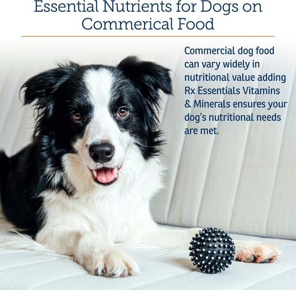 RX VITAMINS Rx Essentials Powder Multivitamin for Dogs, 8-oz bottle ...