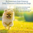 RX VITAMINS Rx Essentials Powder Multivitamin for Dogs, 8-oz bottle ...